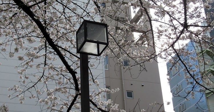 100 Tokyo Streetlights: Streetlight 26 - Yushima, Bunkyo