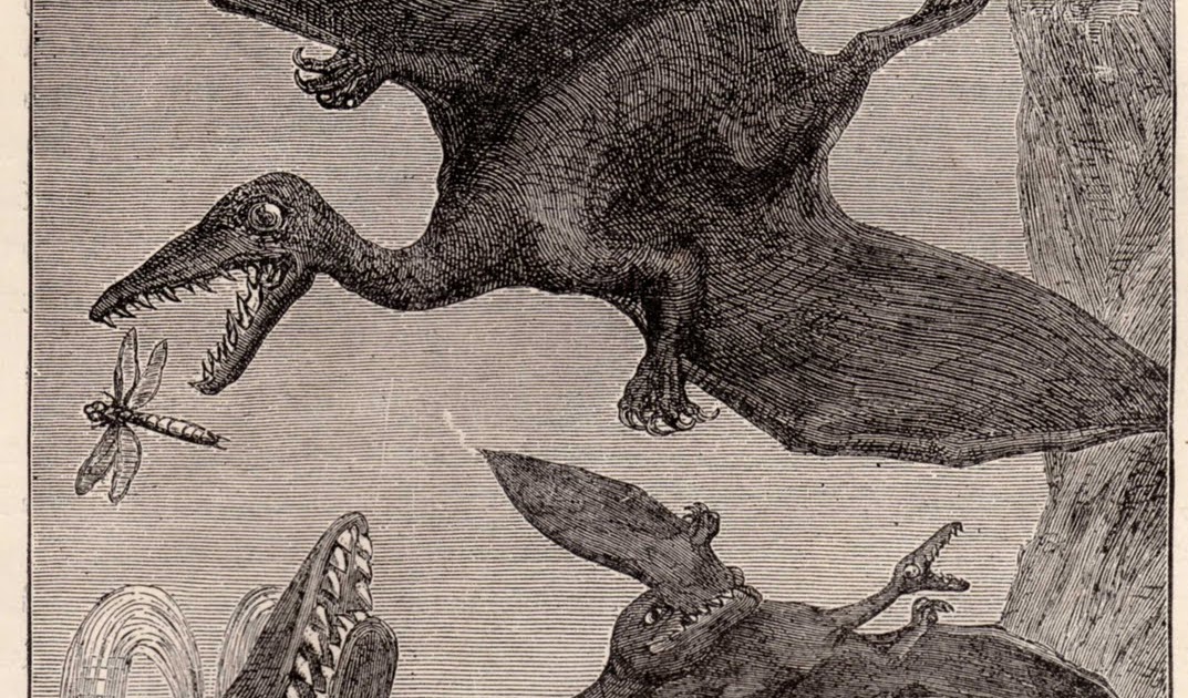 Papergreat: Old Dinosaur Illustration of the Day