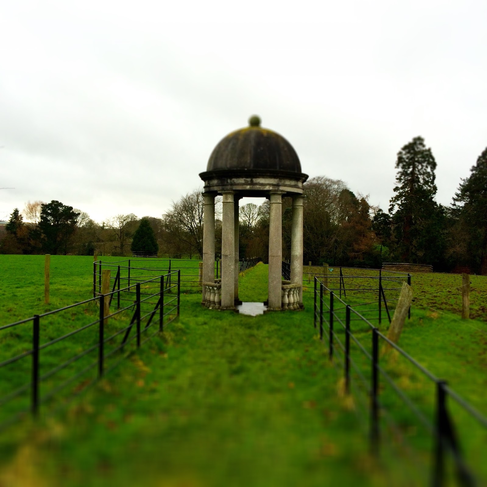 Altamont Gardens Carlow Snowdrops in Spring - Purity Belle ...