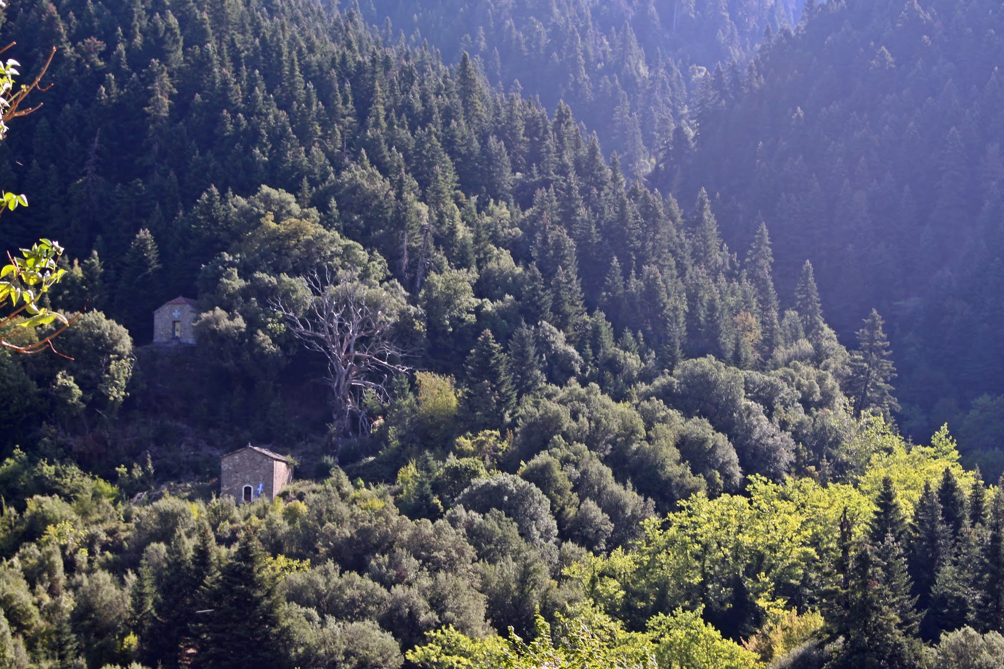 ROAD TRIP ΣΤΑ ΤΖΟΥΜΕΡΚΑ - Β΄ ΜΕΡΟΣ ΔΙΑΔΡΟΜΗ ΠΡΑΜΑΝΤΑ ΜΕΛΙΣΣΟΥΡΓΟΙ ...