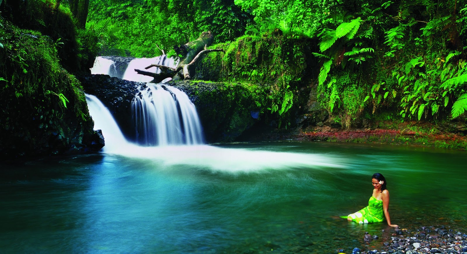 Samoa Tourism Updates: SAMOA TOURISM EXCHANGE 01–04 APRIL 2014 ...