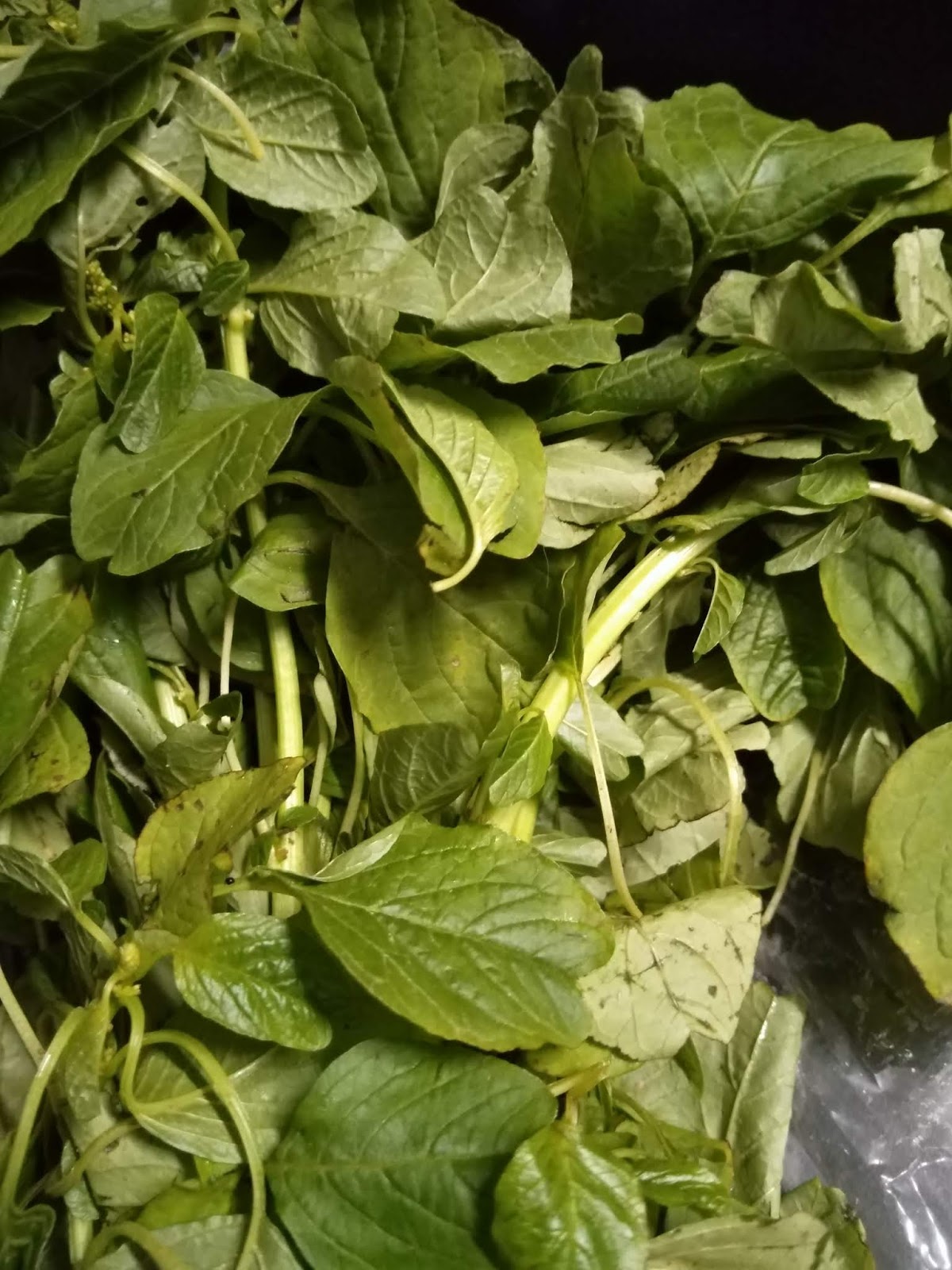 namakucella: SAYUR BAYAM MASAK LEMAK PUTIH +KELEDEK