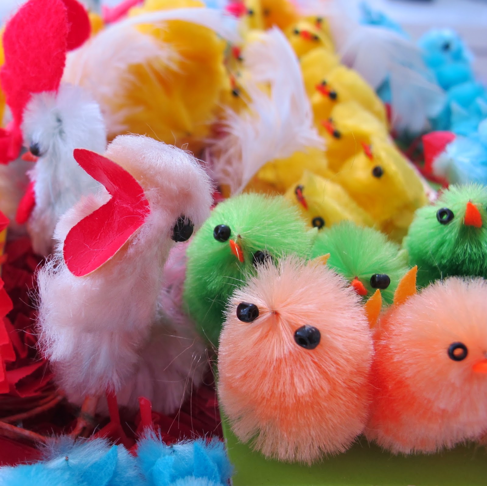 everyday plaid: excellent easter...chicks!