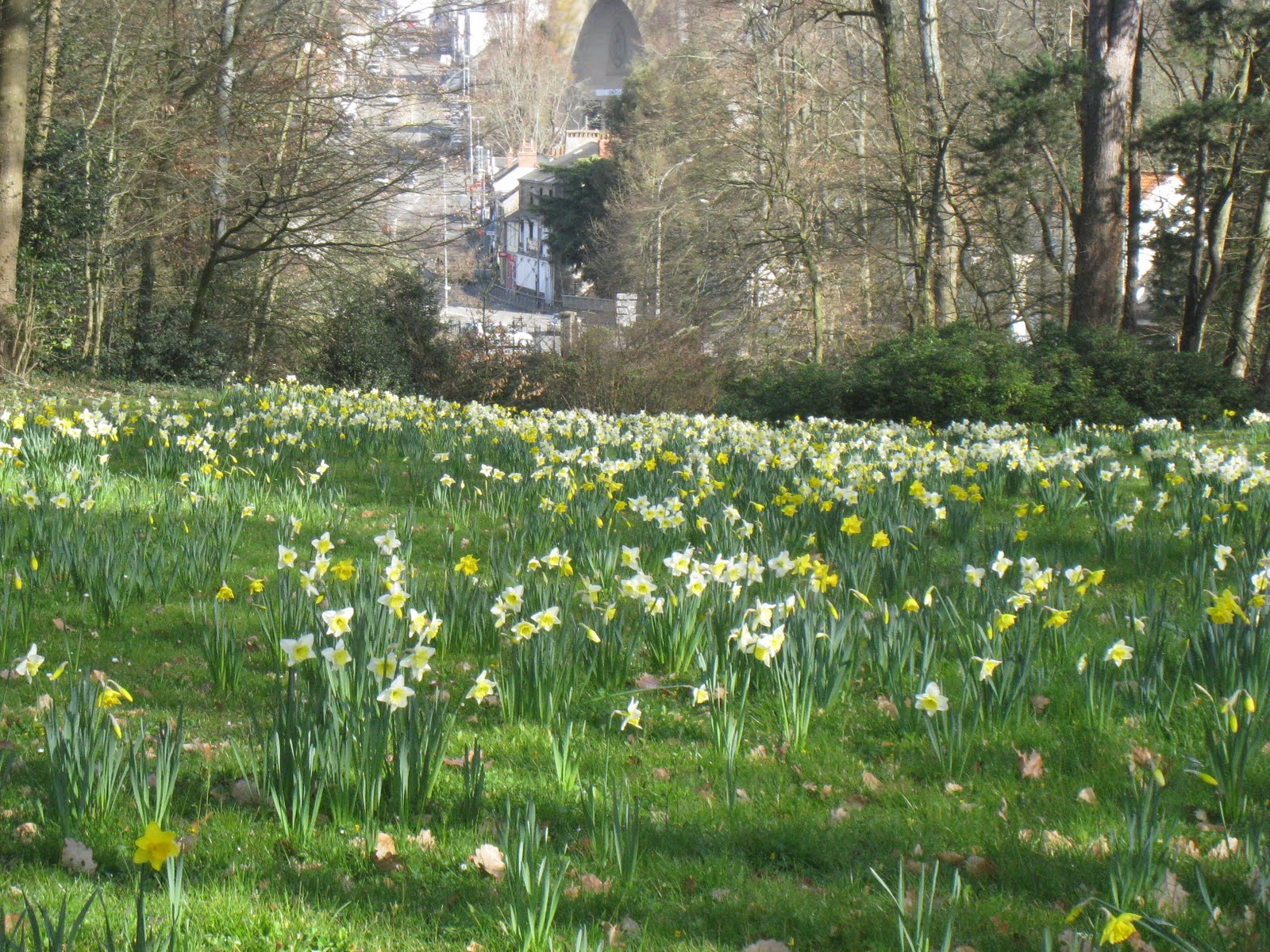 A Malaysian in France: Spring: the incredible mother nature