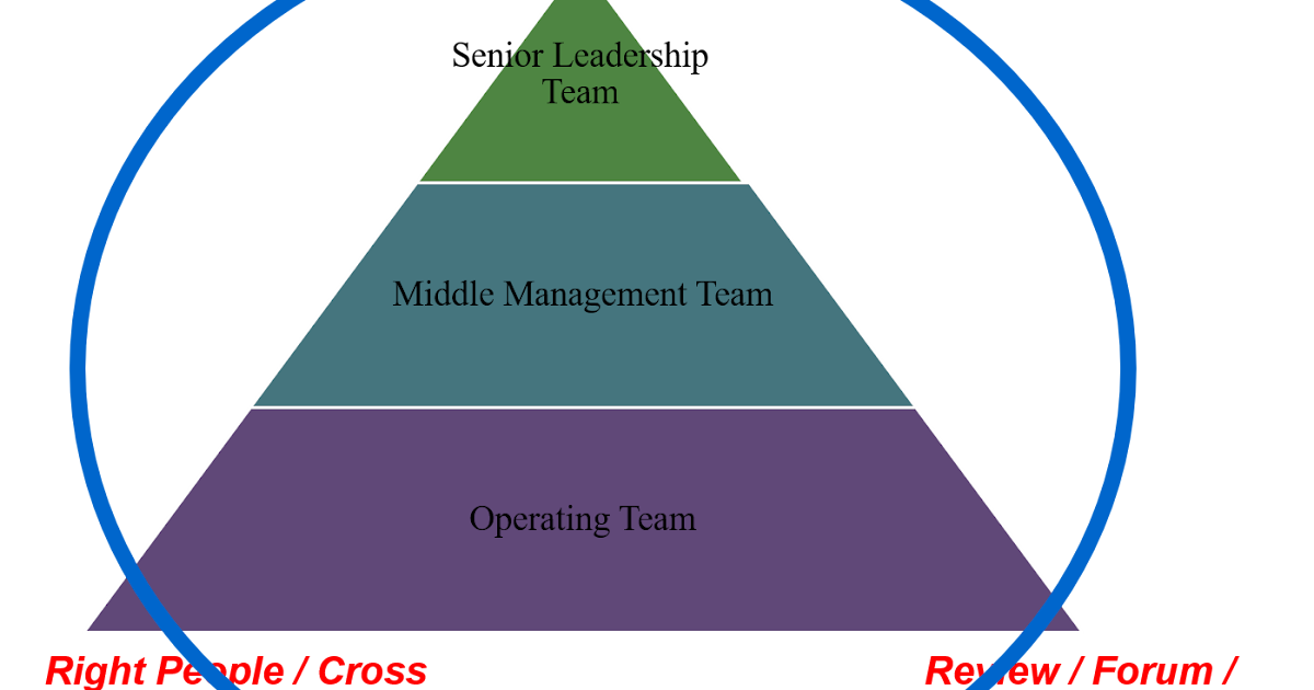 Business Transformation Insights in Small and Emerging Organisation ...
