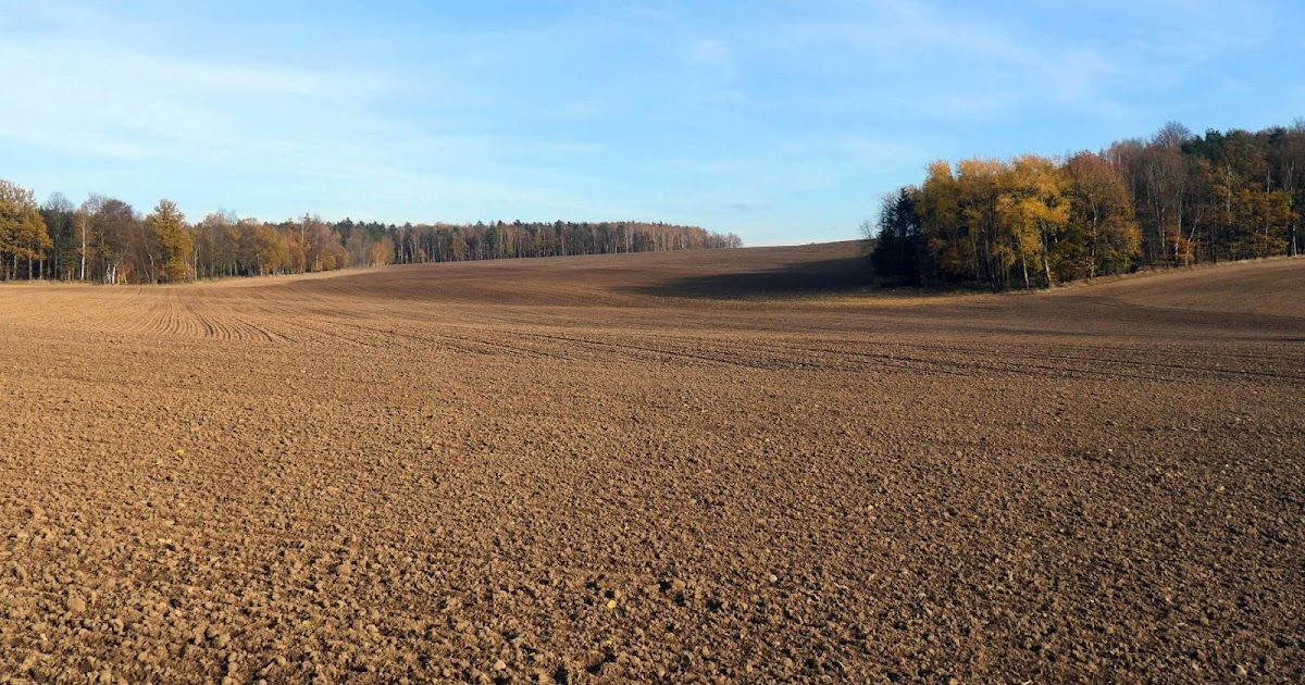 Naturwunder ...: Rundwanderung um Kemnitz / Oberlausitz