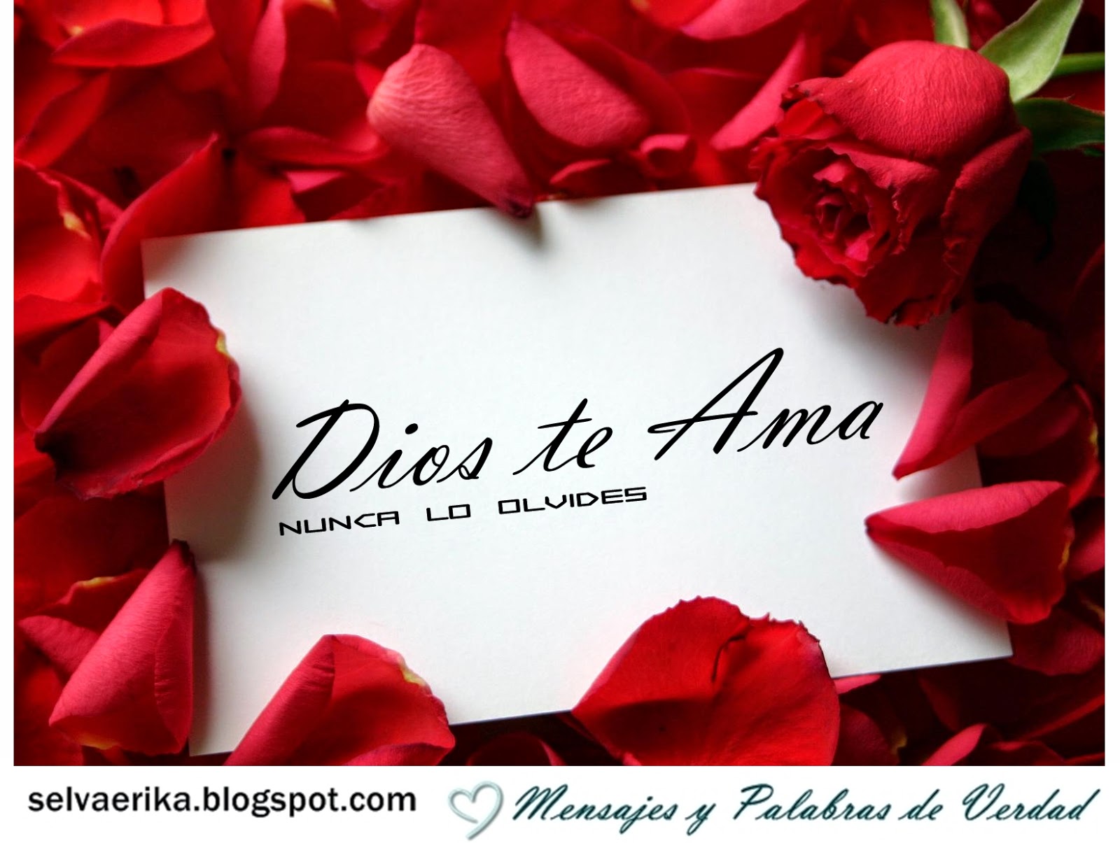 Mensajes y Palabras de Verdad: Sonrie"Cristo te ama". Imagenes para ...