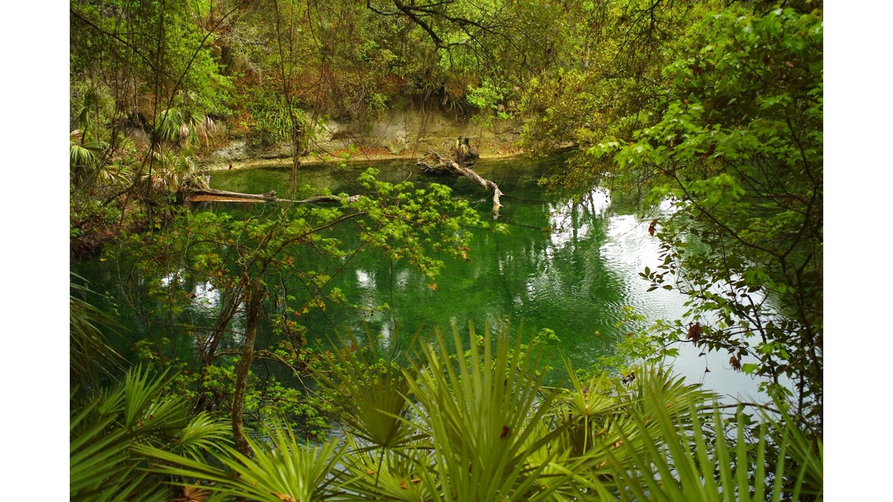 Wandering Environmentalist: FL Lake Country - Springs, Water Management ...