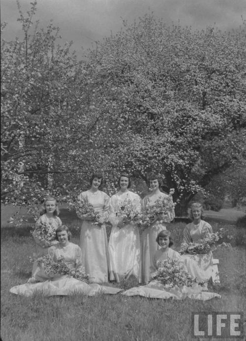 The Times New Roman: May Queen