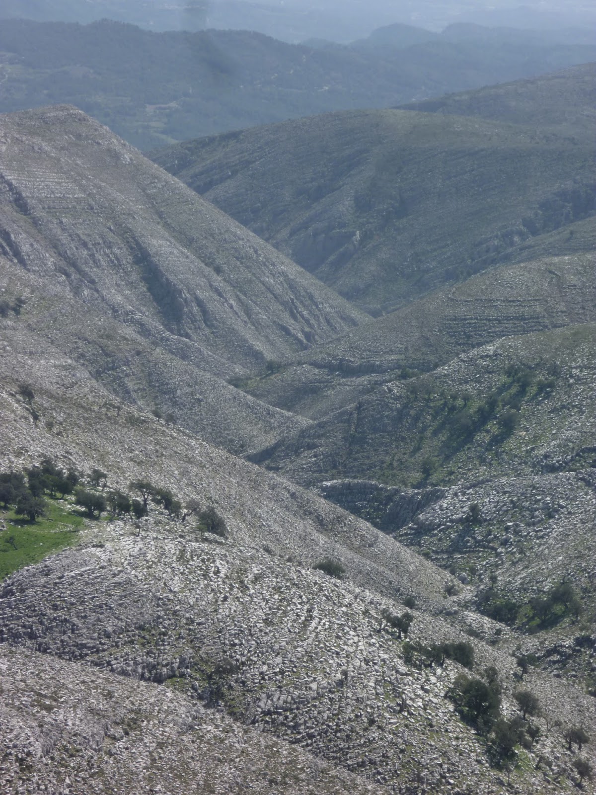 An Octopus in my Ouzo: A Walking Holiday in Embona, Rhodes