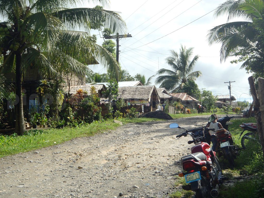 Agusan del Sur - En Route to Bunawan Ecopark and Wildlife Reservation ...