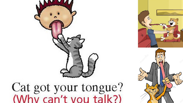 In English, pleaseee...: Has the cat got your tongue?