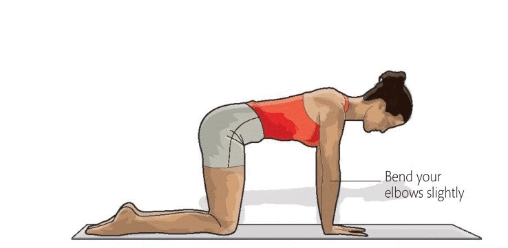 CAT AND CAMEL Exercise