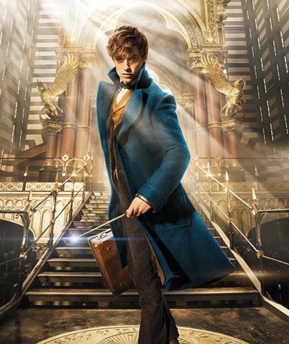 Plataforma 9¾: Biografia: Newt Scamander