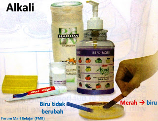 Let's learn Science...: Asid & Alkali