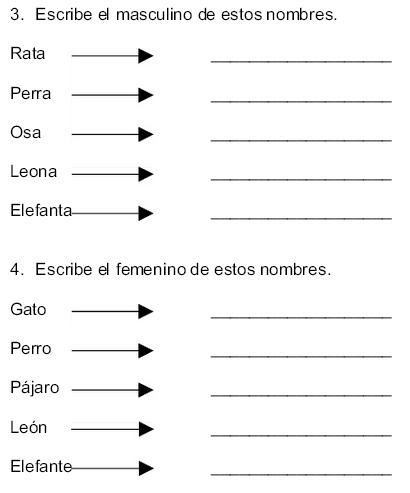 ENTORNO VIRTUAL - B.N.T.: GÉNERO Y NÚMERO