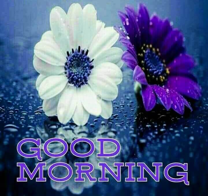 Best Good Morning Images