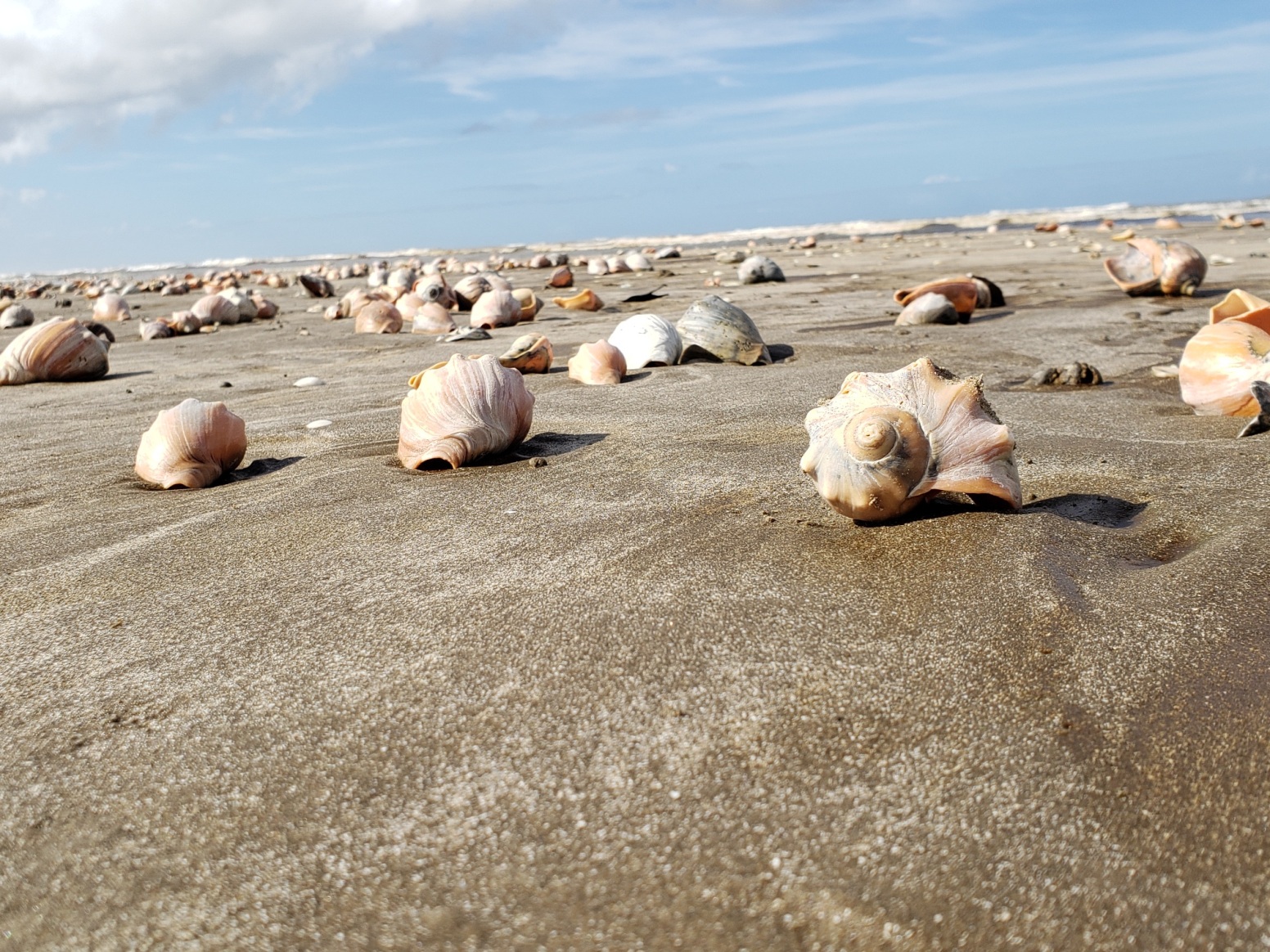 Professor Torres - História e Historiografia do RS: O ESPETÁCULO DAS ...