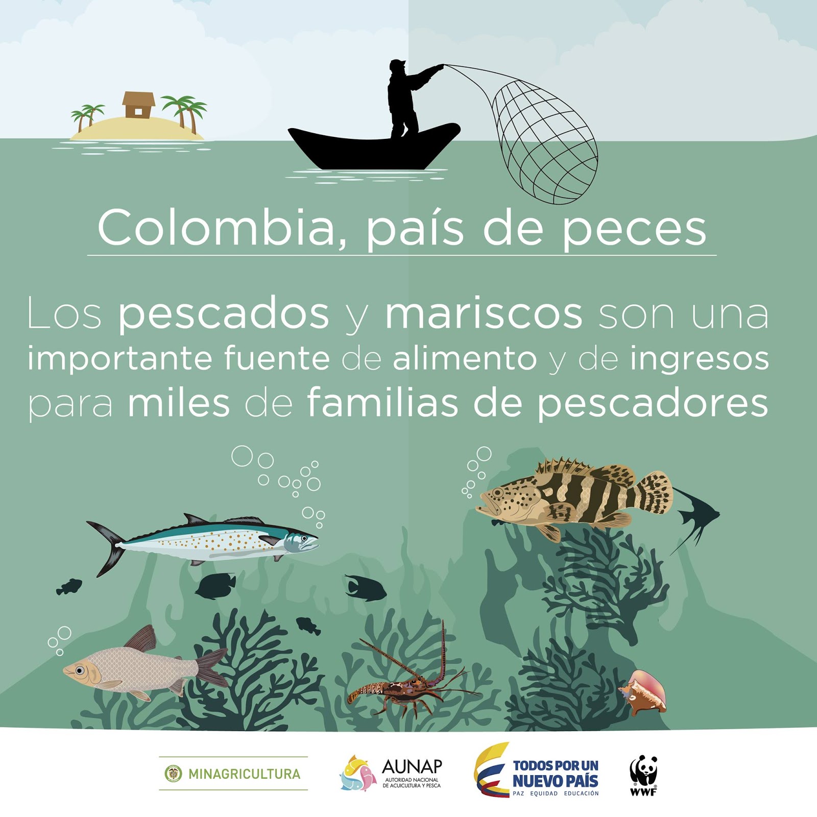Espacio de Pesca: Colombia Pais de Peces