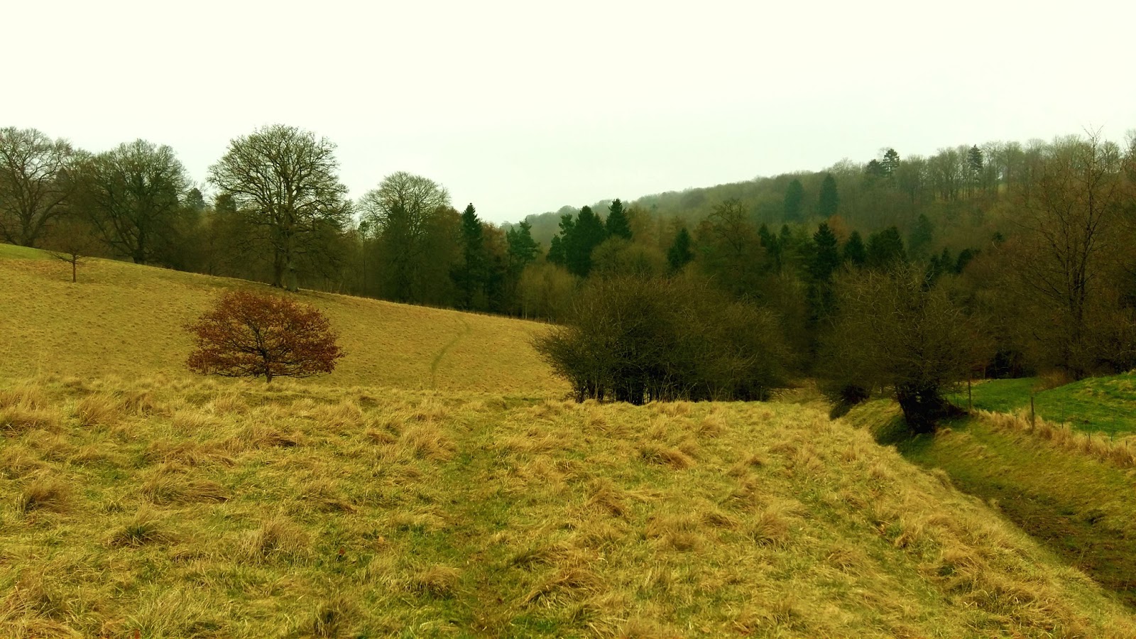 Cotswolds Travel: A Foggy Spring Round Miserden and Caudle Green