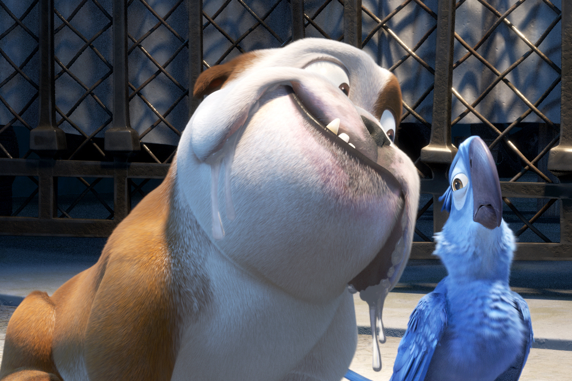 The adventure named "Rio"