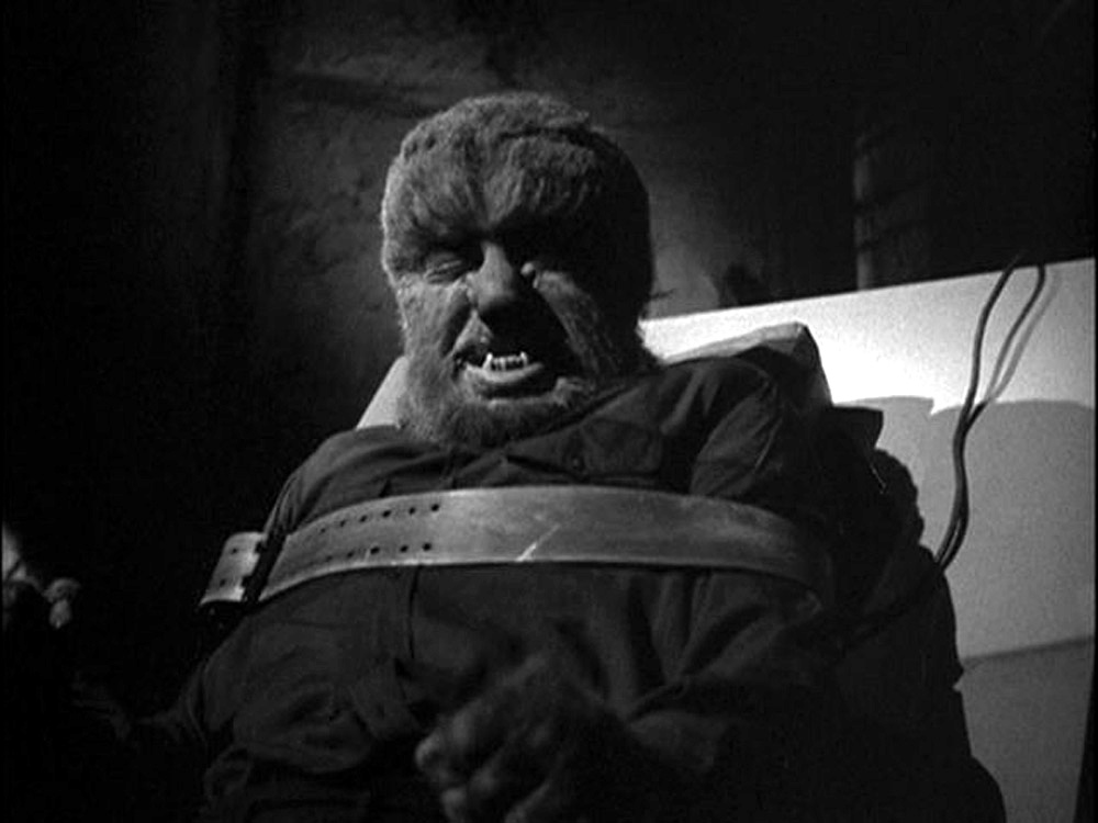 13: FRANKENSTEIN MEETS THE WOLF MAN / Universal Pictures - 1943