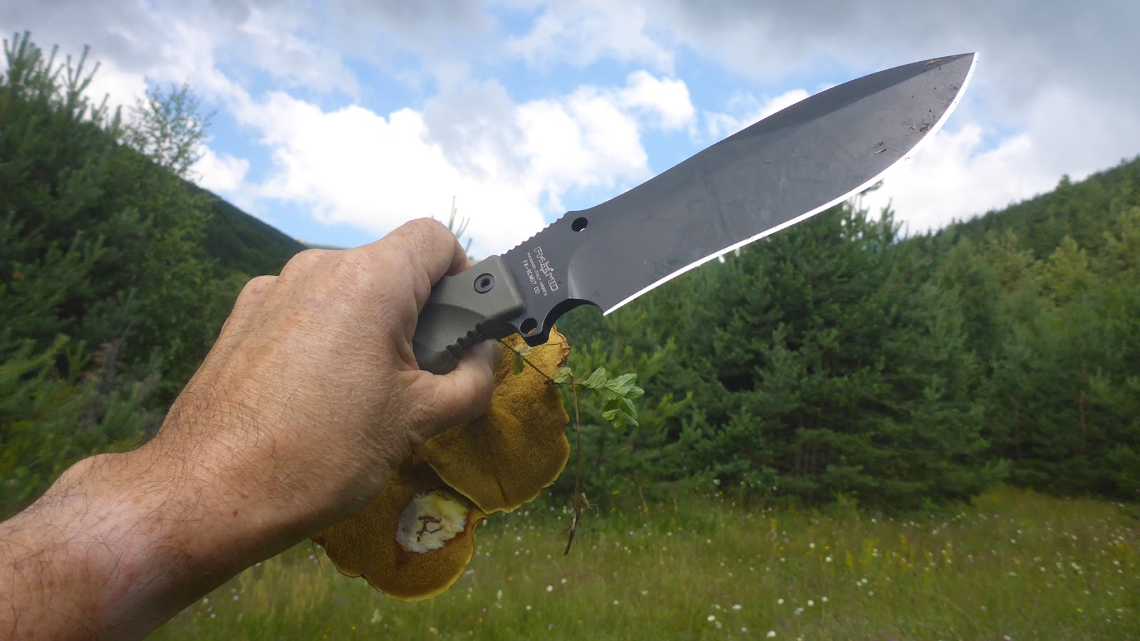 Hardcore Knives and tools for Wilderness Camping: FKMD RIMOR FX-9CM07 ...