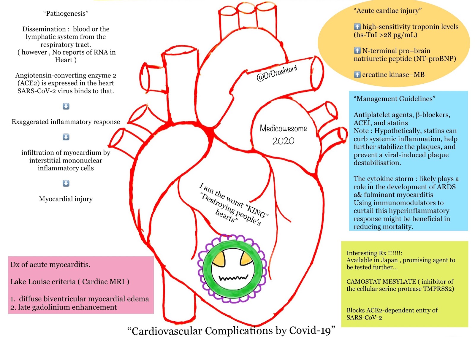 Medicowesome: COVID-19: Cardiovascular complications