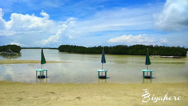 Travel Guide: Your Budget Friendly Olango Island Getaway! - The Biyahero