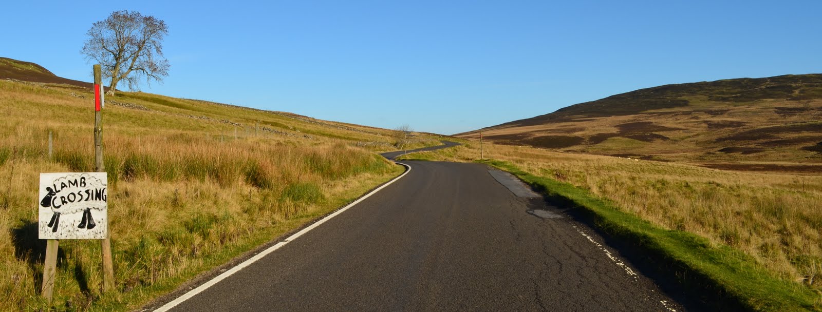 Tour Scotland: Tour Scotland Autumn Photograph Road Sign Scottish ...
