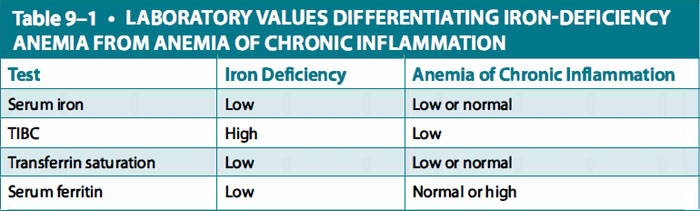 Geriatric anemia case file