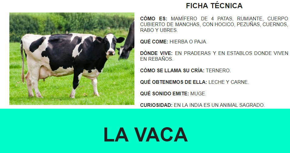 Caracteristicas De La Vaca Caracteristicas De La Vaca