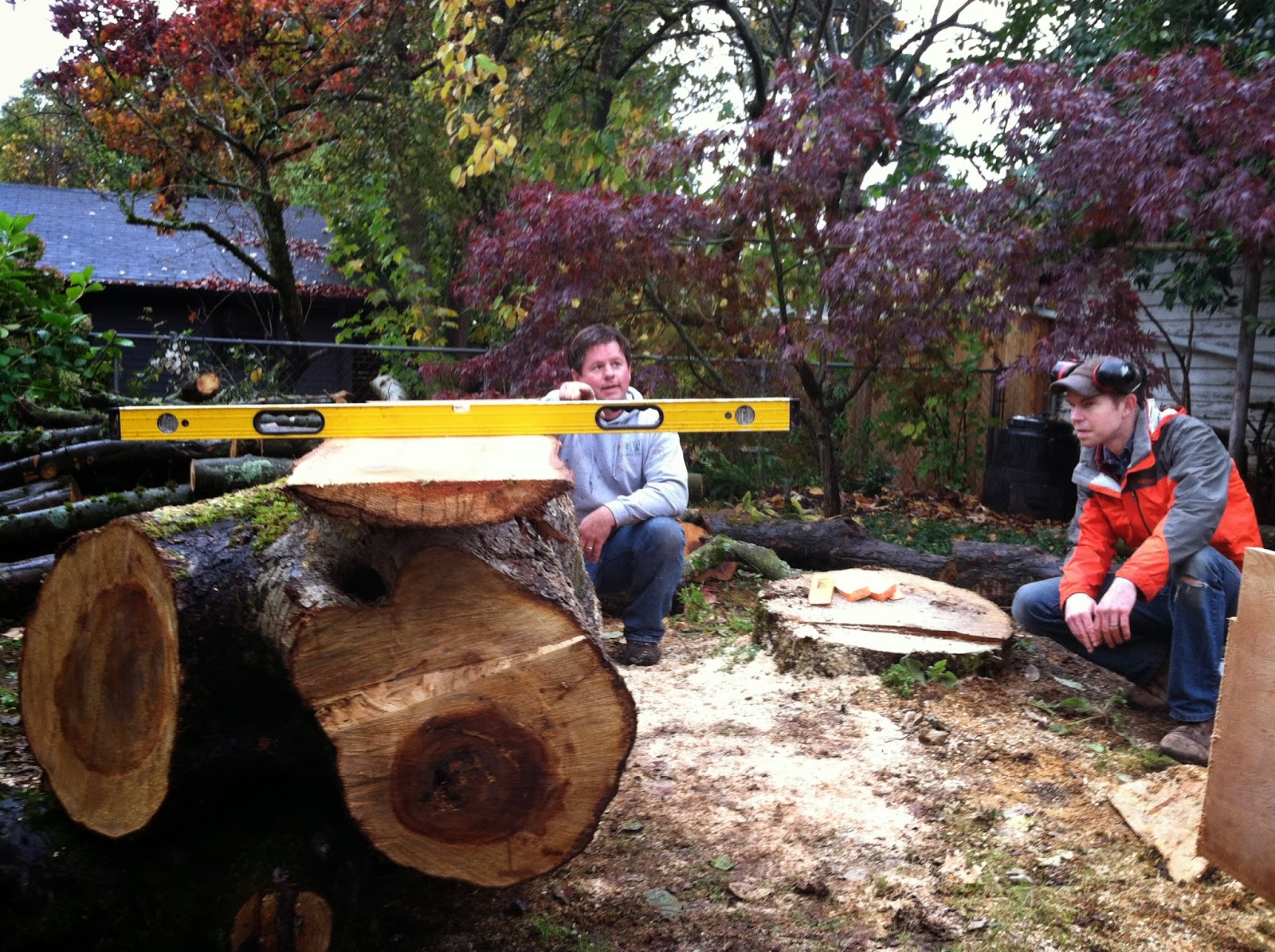 Five Fifths Furniture: The largest Apple tree in the world meets its match