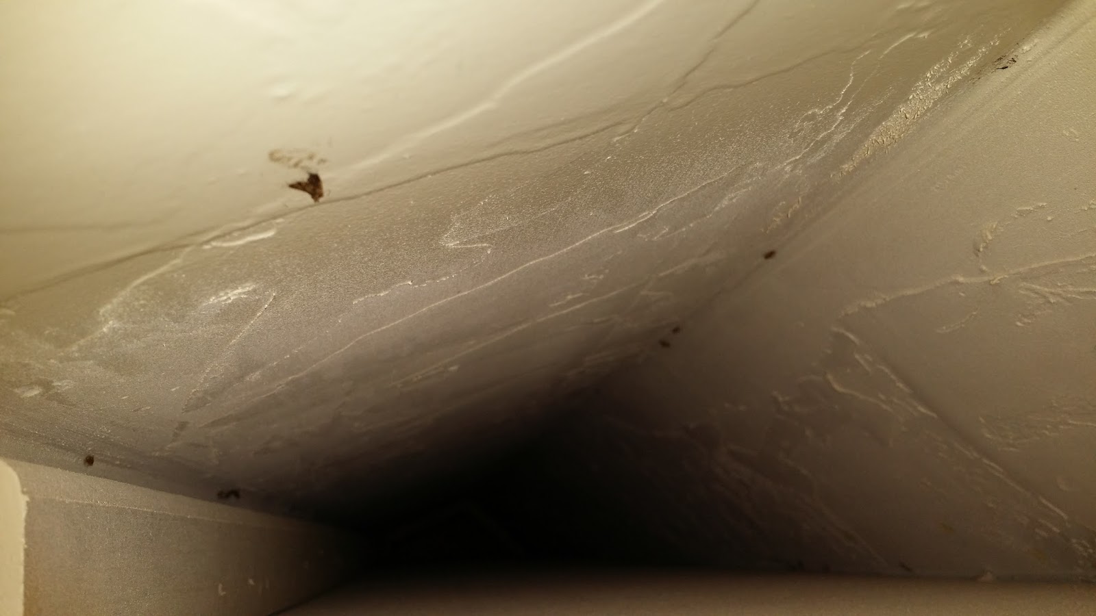 Frugally getting this done.: Seriously.. Pantry moths!!! (part 2)