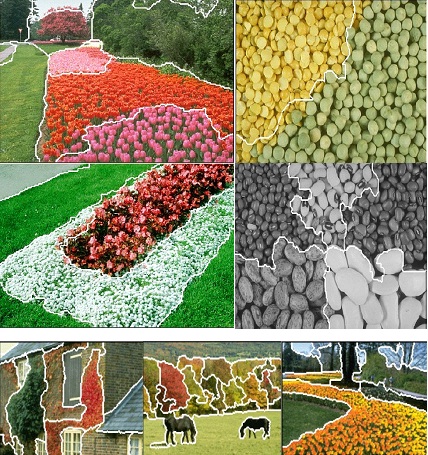 Image Processing And Pattern Recognition (BITI3313): Region Segmentation