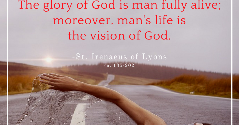 REFLECTIONS: A GUIDE TO LIFE'S JOURNEY: THE GLORY OF GOD IS MAN FULLY ...
