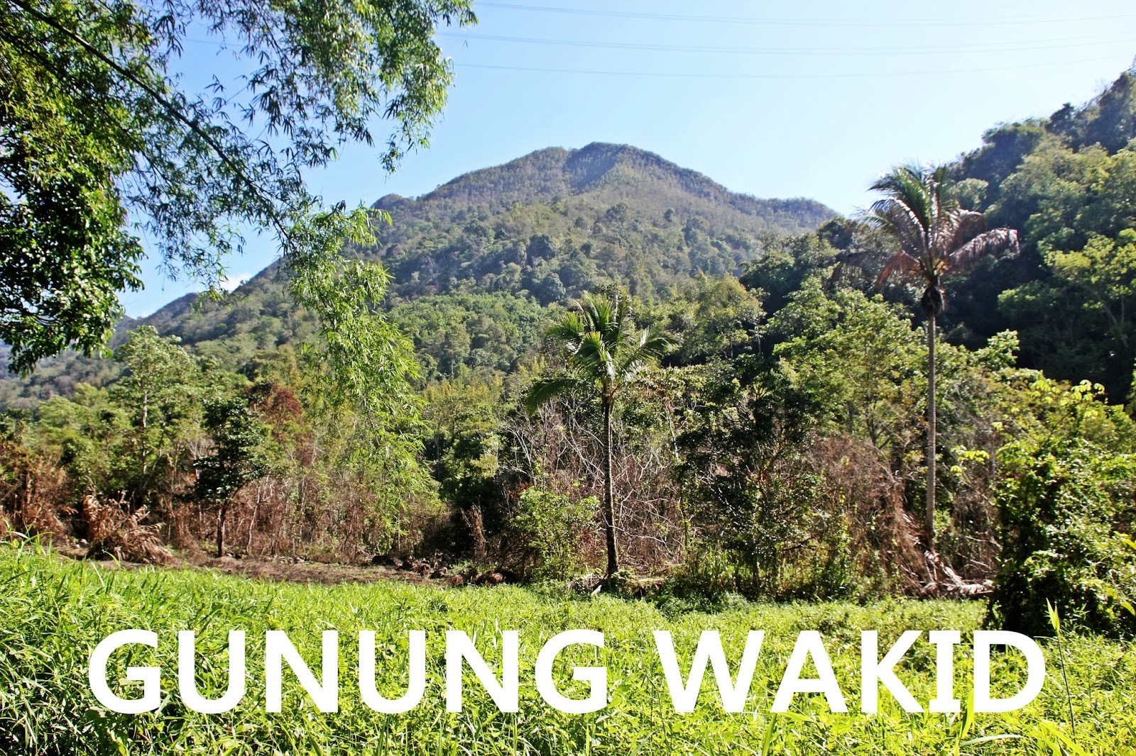 Cabaran mendaki Gunung Wakid di Tambunan, Sabah | VANDER GOOD