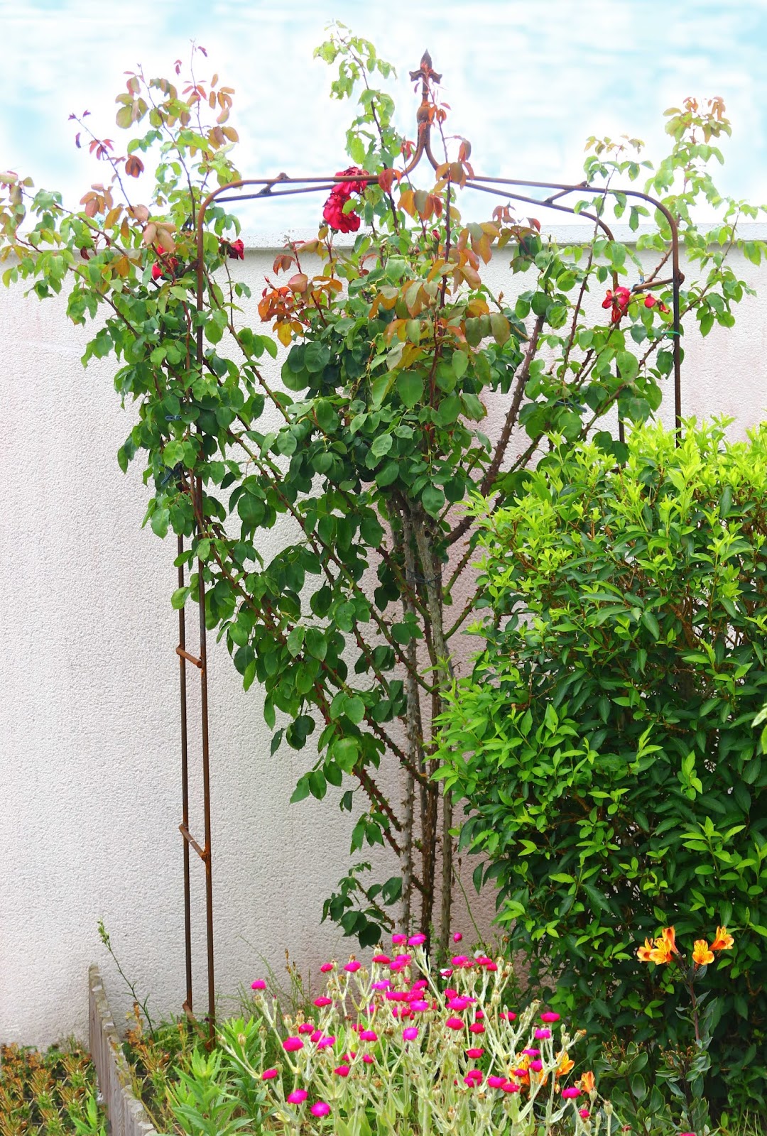 Decorative Rose Arch - Easy, Elegant Welding Project