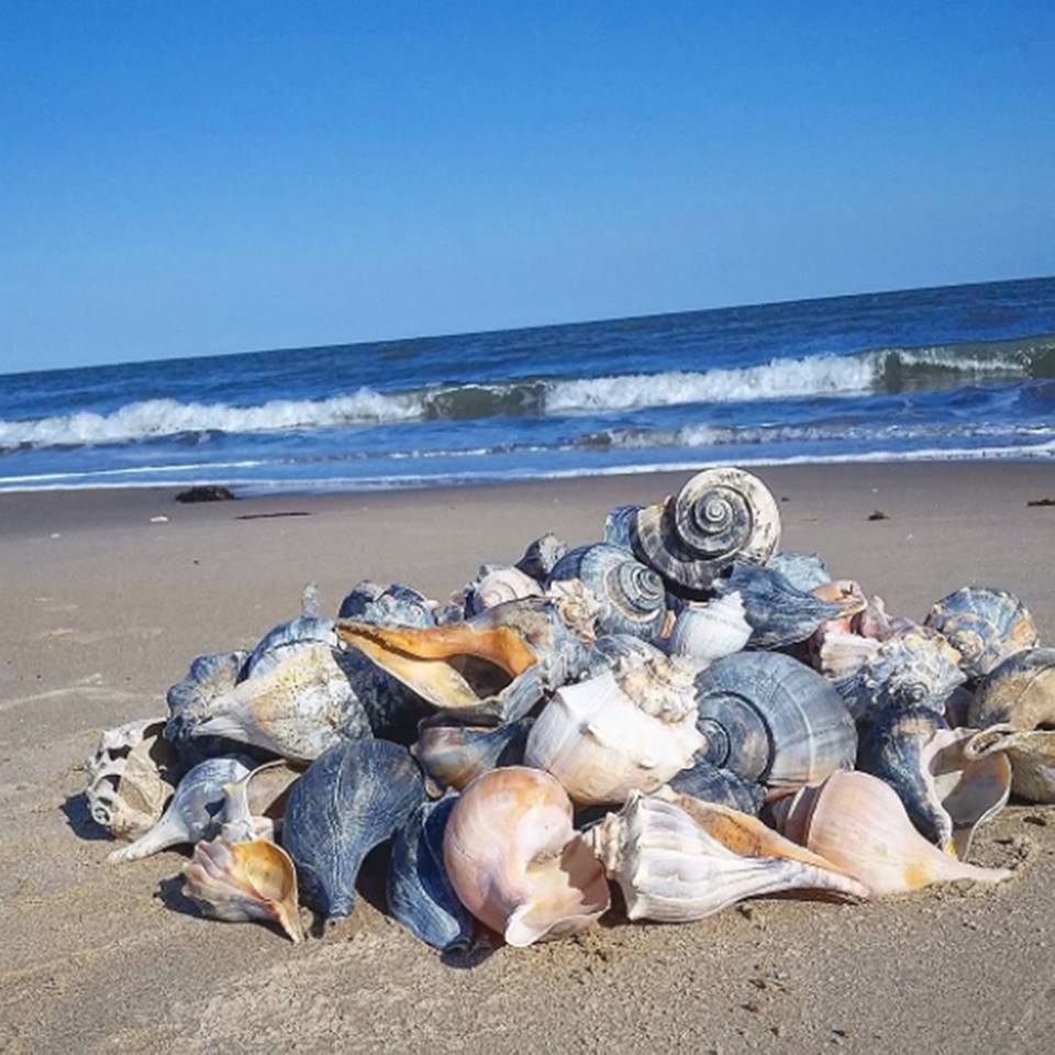 I'm Just Sayin': Bible Verses for the Week