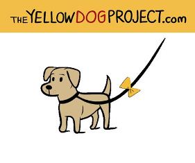 Bunny's Blog: The Yellow Dog Project
