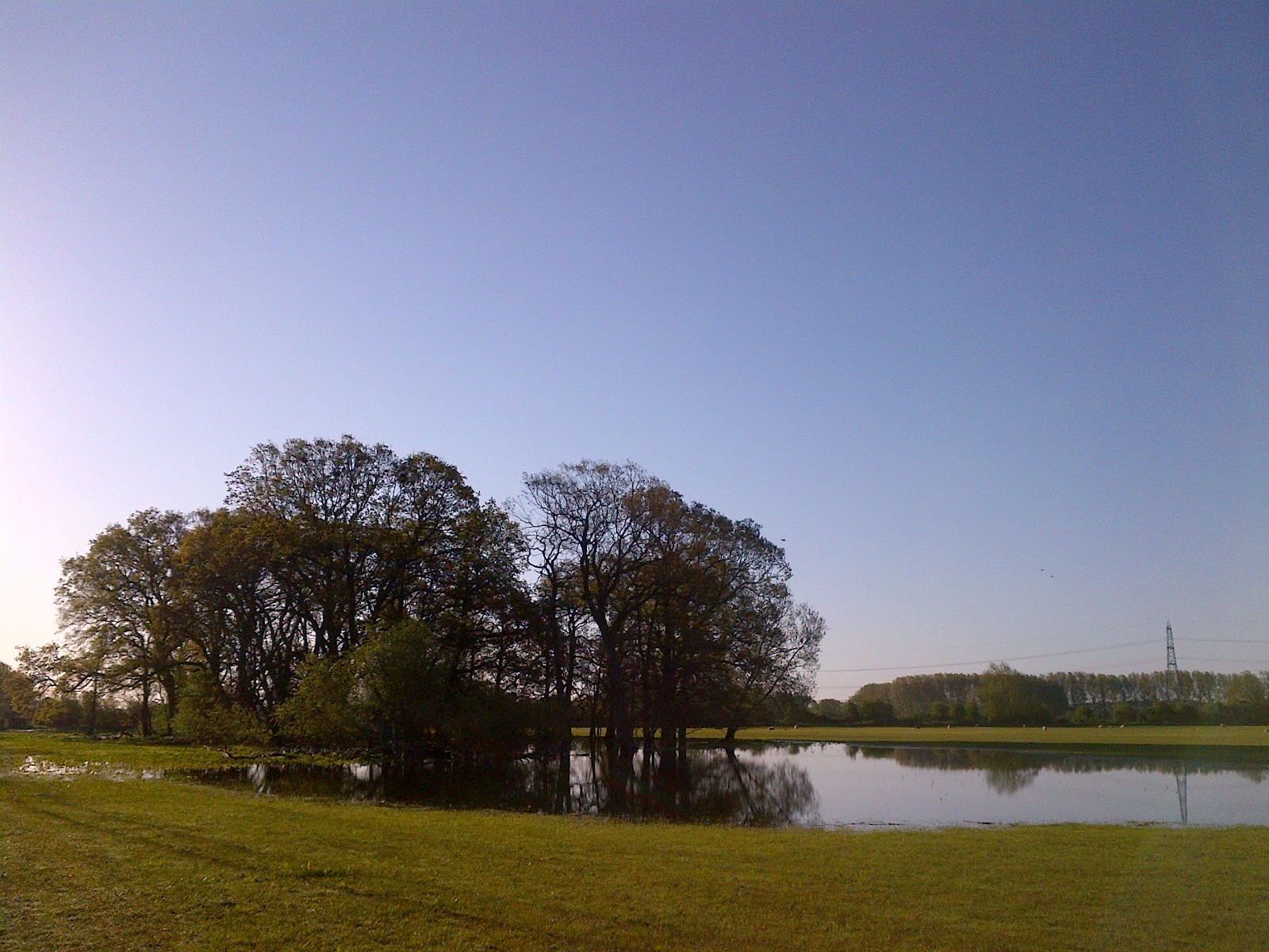 justthoughtsnstuff: moaty thing, awash, lasa, swan at radcot, robert ...