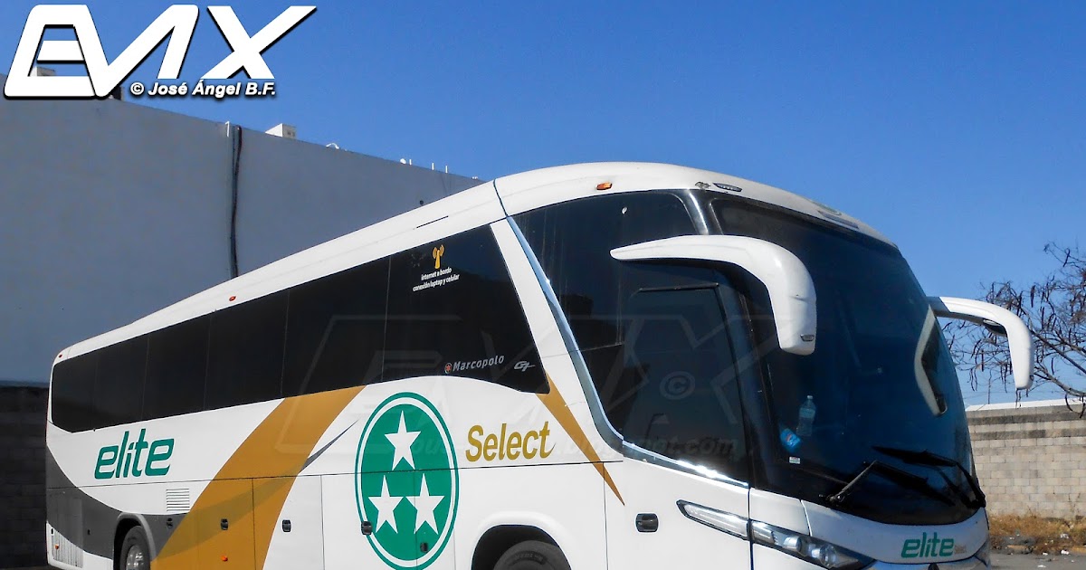 Autobuses Elite de México: Select - Bus-México