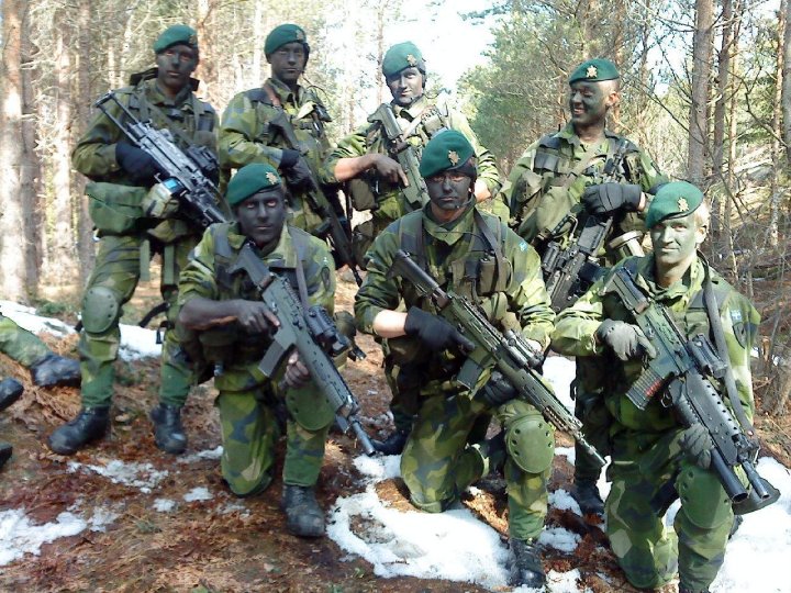 World Military and Police Forces: Sweden