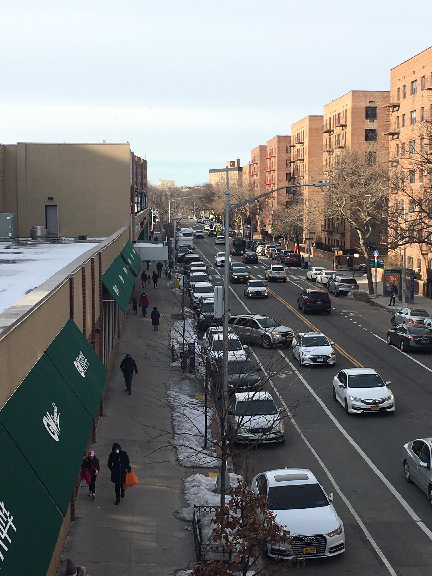 WILDS OF QUEENS: 99th STREET