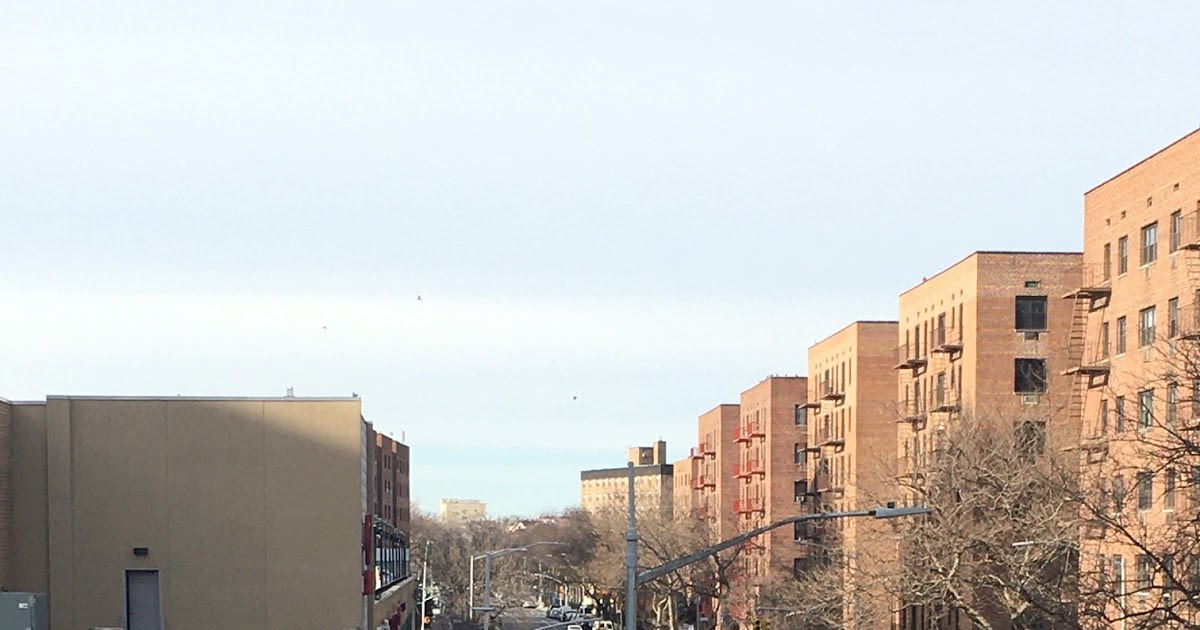 WILDS OF QUEENS: 99th STREET