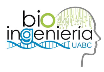 Bioingeniería, Qué es?