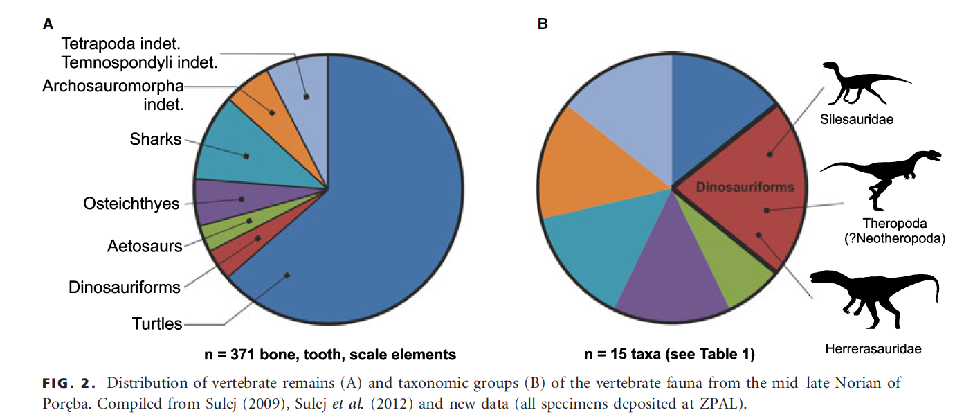 The Dragon's Tales: The Norian Triassic Dinosaur & Dinosauriform Biota ...
