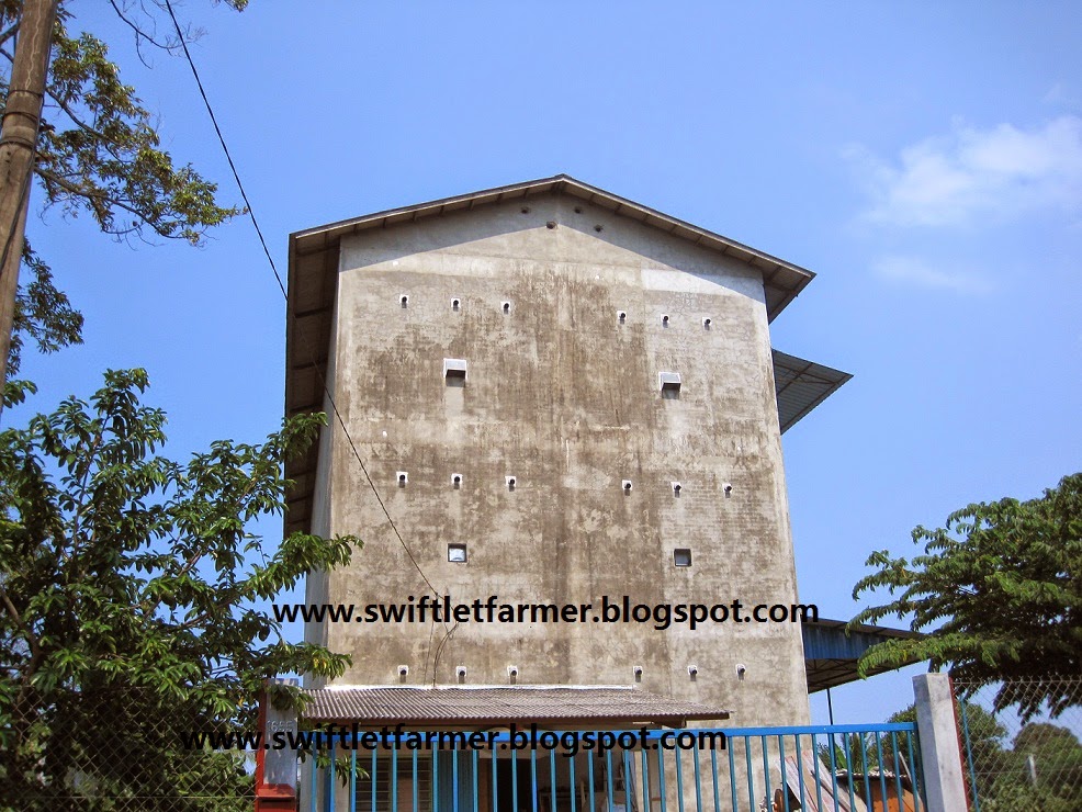 Swiftlet Farming : Swiftlets Farming Equipments, Edible Birds Nest and ...