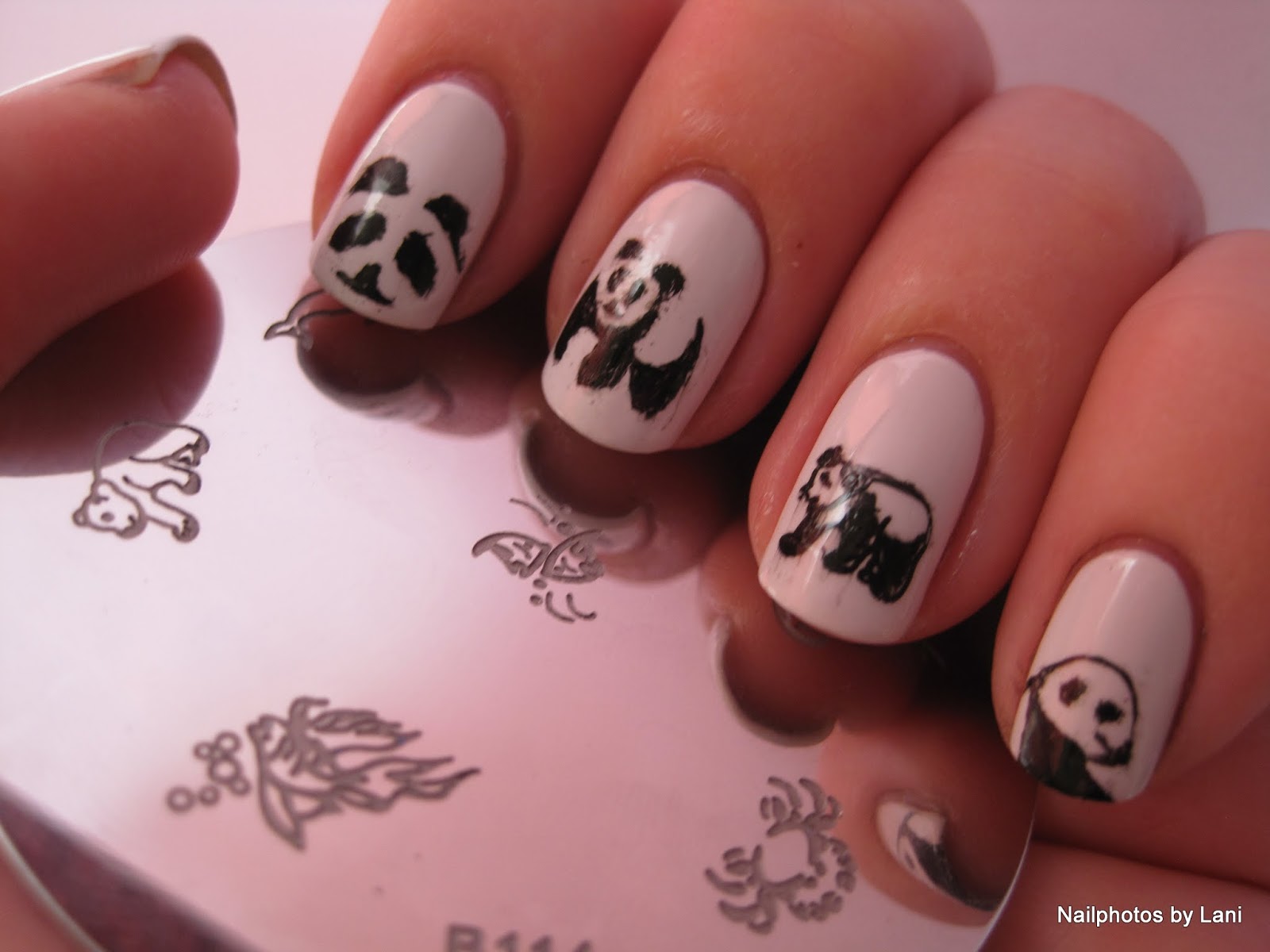 Nailphotos by Lani: Giant panda and giant panda cub water decals and videos
