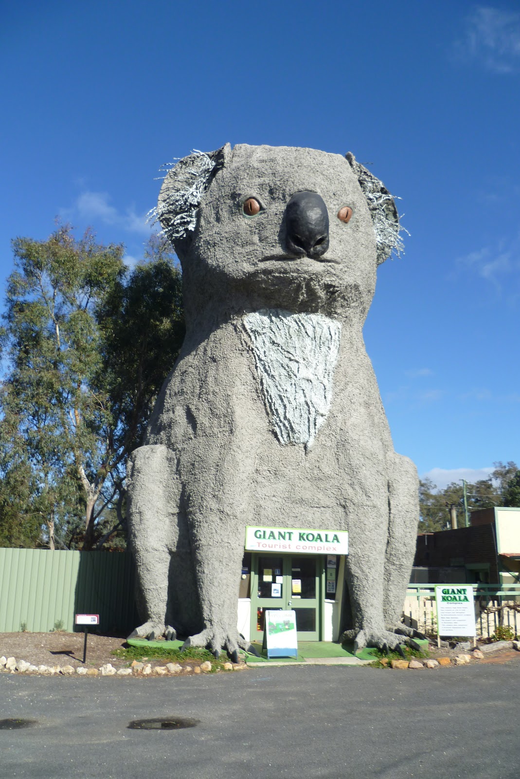 Witchwae on the Move: Giant Koala @ Dadswells Bridge -Grampians